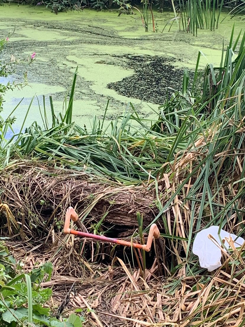 Published projects in July – Virginia Betts